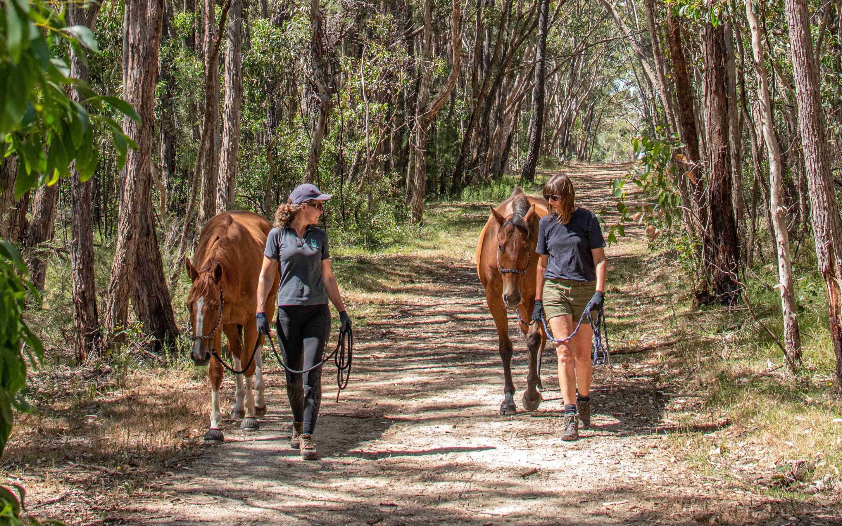 WalkSublime | Walking with Horses in nature